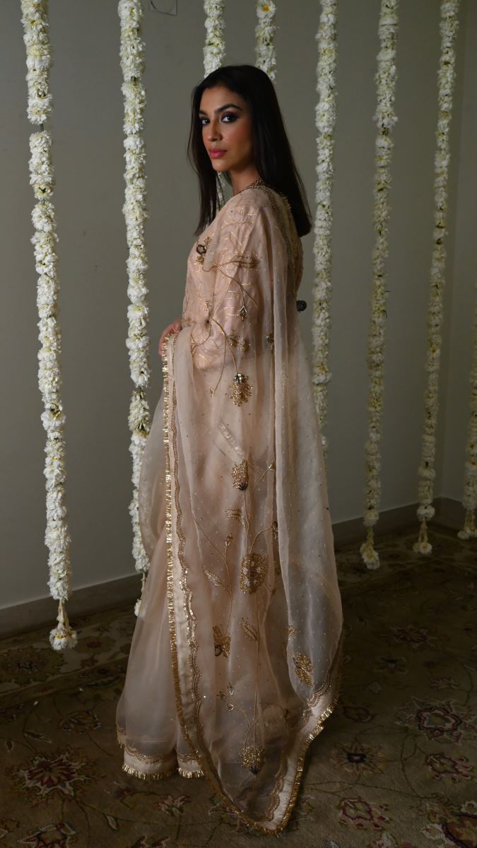 Buy - Rangeela deep ivory jahan ara sari | Elan Store