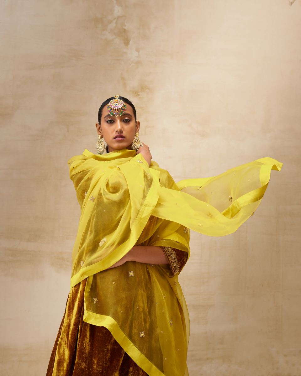 Buy - Sunheri embroidered silk organza dupatta | Elan Store