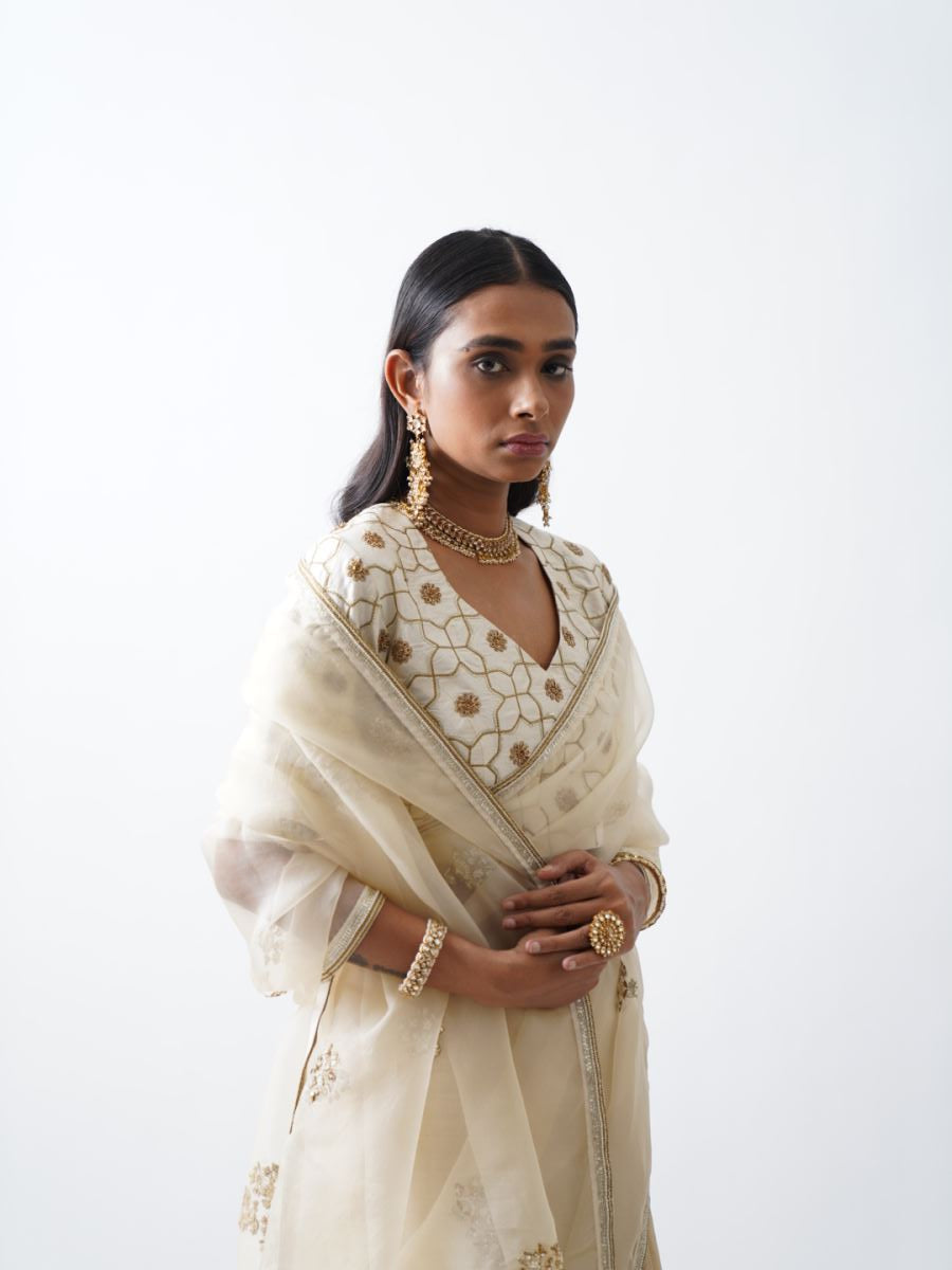 Buy - Avanti sari with blouse | Elan Store