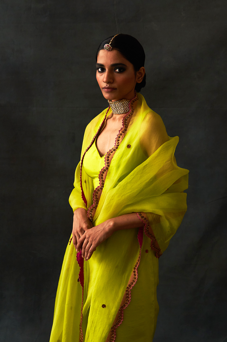 Buy - Parvaaz lime and rani sari | Elan Store